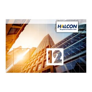 Dongle-bound HALCON 12 licences on Windows Systems